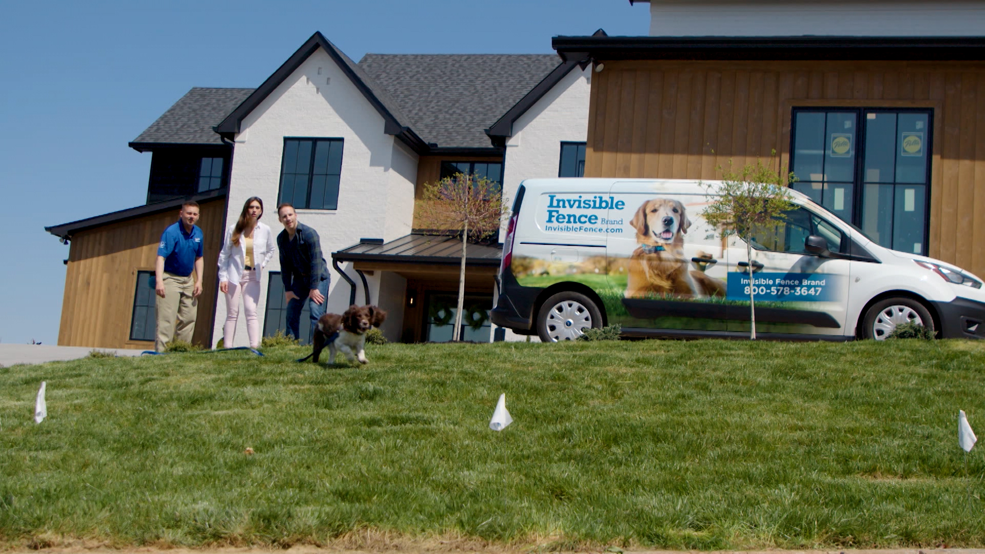 Fur-tastic Living: Equipping Pet Parents With The Essentials to Keep ...