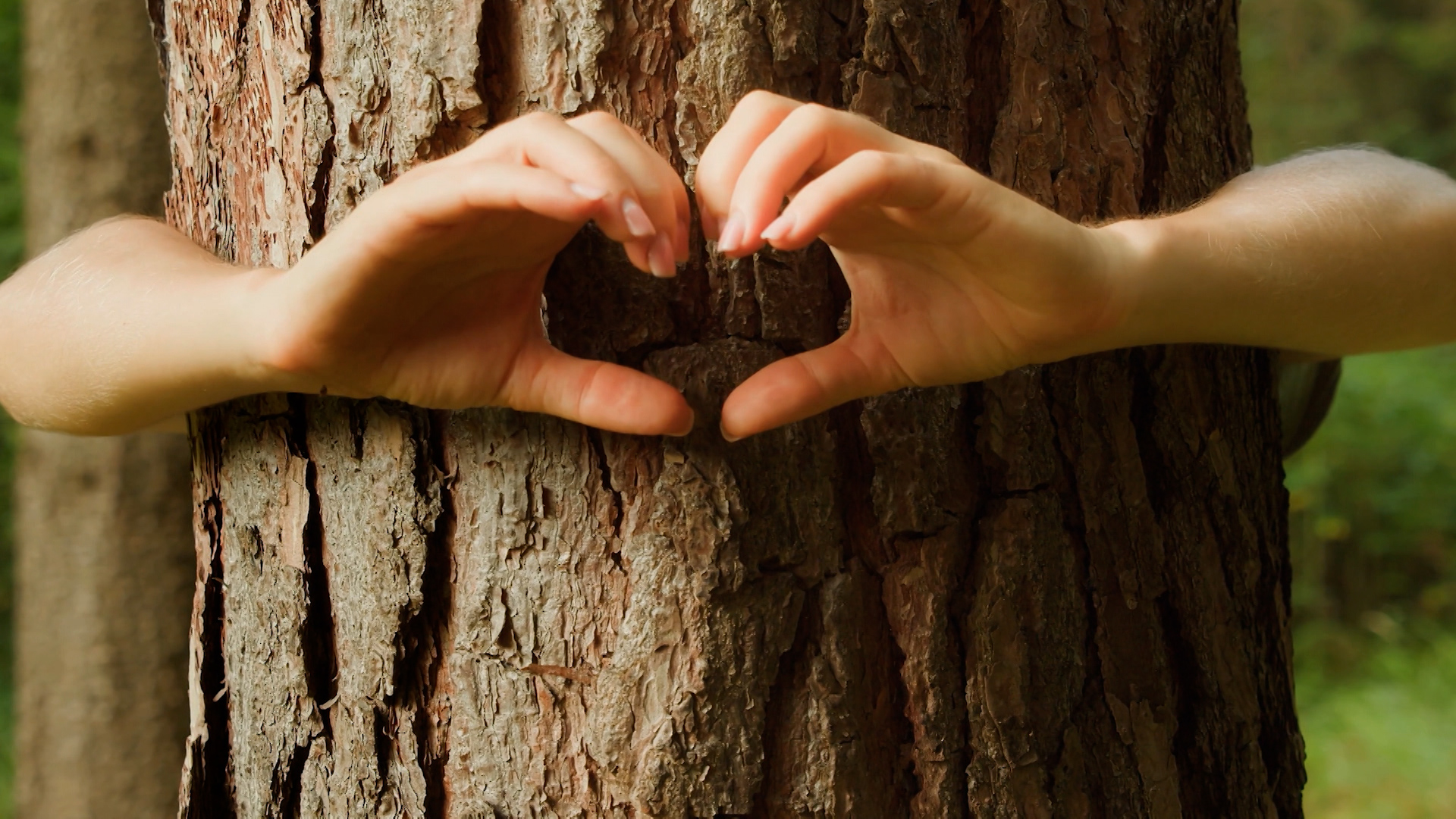 Episodes - Designing Spaces